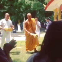 Monk GIFs - Get the best gif on GIFER