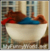 Chipmunks GIFs - Get the best gif on GIFER