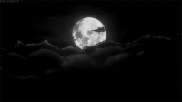 Moon GIFs - Get the best gif on GIFER