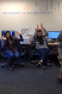 Phd GIFs - Get the best gif on GIFER