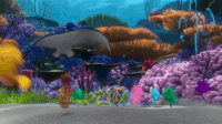 Nemo GIFs - Get the best gif on GIFER