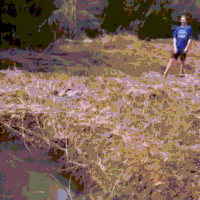 Tentative GIFs - Get the best gif on GIFER