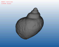 Fossils GIFs - Get the best gif on GIFER