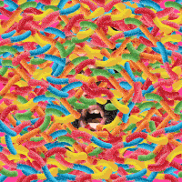 Cartridge GIFs - Get the best gif on GIFER