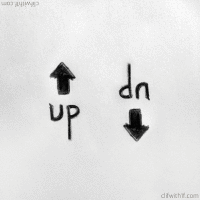 Dn GIFs - Get the best gif on GIFER