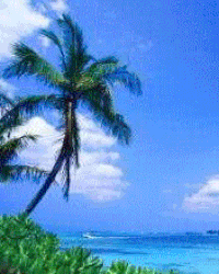 Humano GIFs - Get the best gif on GIFER