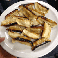 Rind GIFs - Get the best gif on GIFER