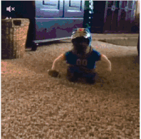 Wot GIFs - Get the best gif on GIFER