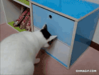 Drawer GIFs - Get the best gif on GIFER
