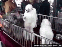 Vulnerability GIFs - Get the best gif on GIFER