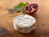 Cheeses GIFs - Get the best gif on GIFER