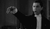 1800 GIFs - Get the best gif on GIFER