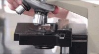 Microscopes GIFs - Get the best gif on GIFER