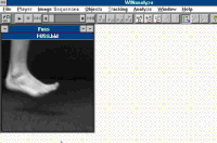 Tracking GIFs - Get the best gif on GIFER