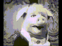 Disturbing GIFs - Get the best gif on GIFER