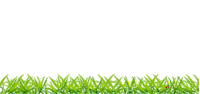 Grass GIFs - Get the best gif on GIFER