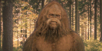Sasquatches GIFs - Get the best gif on GIFER