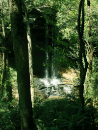 Ecosystem GIFs - Get the best gif on GIFER