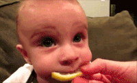 Hungry GIFs - Get the best gif on GIFER
