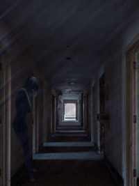 Hallways GIFs - Get the best gif on GIFER