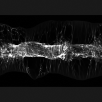 Microscope GIFs - Get the best gif on GIFER