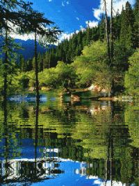 Scenery GIFs - Get the best gif on GIFER