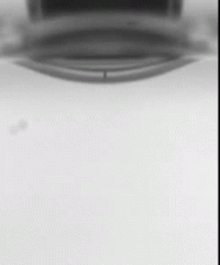 Dinamica GIFs - Get the best gif on GIFER