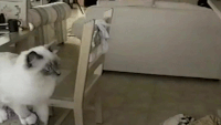 Toasty GIFs - Get the best gif on GIFER