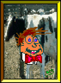 Geocities GIFs - Get the best gif on GIFER