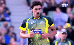 Designer dmetry GIF - Conseguir o melhor gif em GIFER