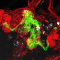 Wavelength GIFs - Get the best gif on GIFER