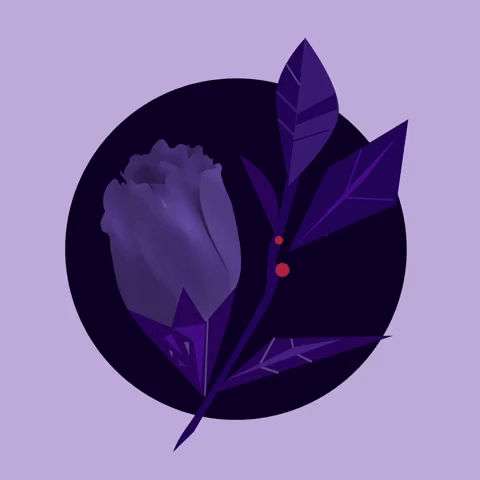 Purplerose GIFs - Get the best gif on GIFER
