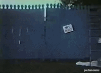 Bazaar GIFs - Get the best gif on GIFER