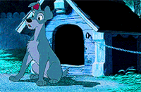 Lady and the tramp 2 GIFs - Get the best gif on GIFER