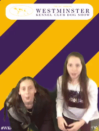 Exposition GIFs - Get the best gif on GIFER