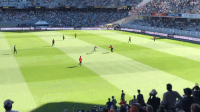 Hurdling GIFs - Get the best gif on GIFER