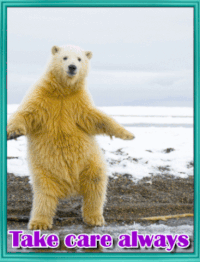 Take care GIFs - Get the best gif on GIFER