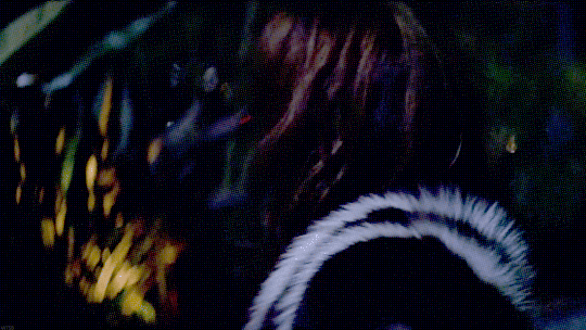 Diminished GIF - Conseguir o melhor gif em GIFER