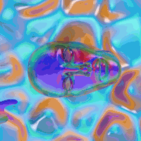 Decomposers GIFs - Get the best gif on GIFER