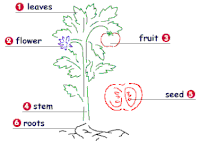 Outline GIFs - Get the best gif on GIFER