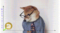 Trader GIFs - Get the best gif on GIFER