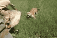 Gunna GIFs - Get the best gif on GIFER