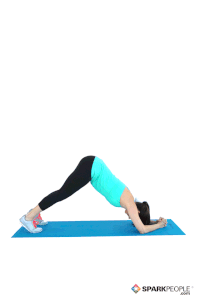 Animation exercise GIFs - Get the best gif on GIFER