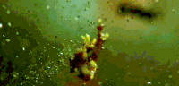 Prometheus GIFs - Get the best gif on GIFER