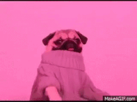 Bling GIFs - Get the best gif on GIFER