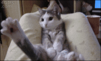 Miata GIFs - Get the best gif on GIFER