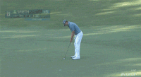 Putter GIFs - Get the best gif on GIFER