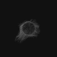 Processing GIFs - Get the best gif on GIFER