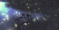 Swamp GIFs - Get the best gif on GIFER