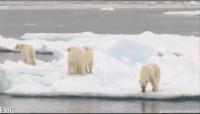Warming GIFs - Get the best gif on GIFER